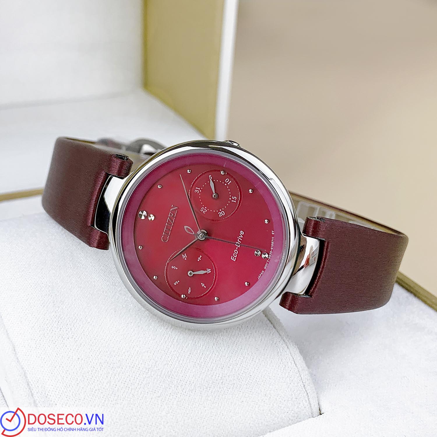 Citizen Eco-Drive FD1100-10X